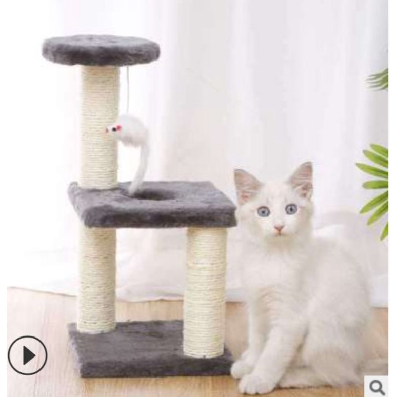Jual Cat Condo Kucing dengan Tangga Loncat Double Lengkap dengan mainan ...