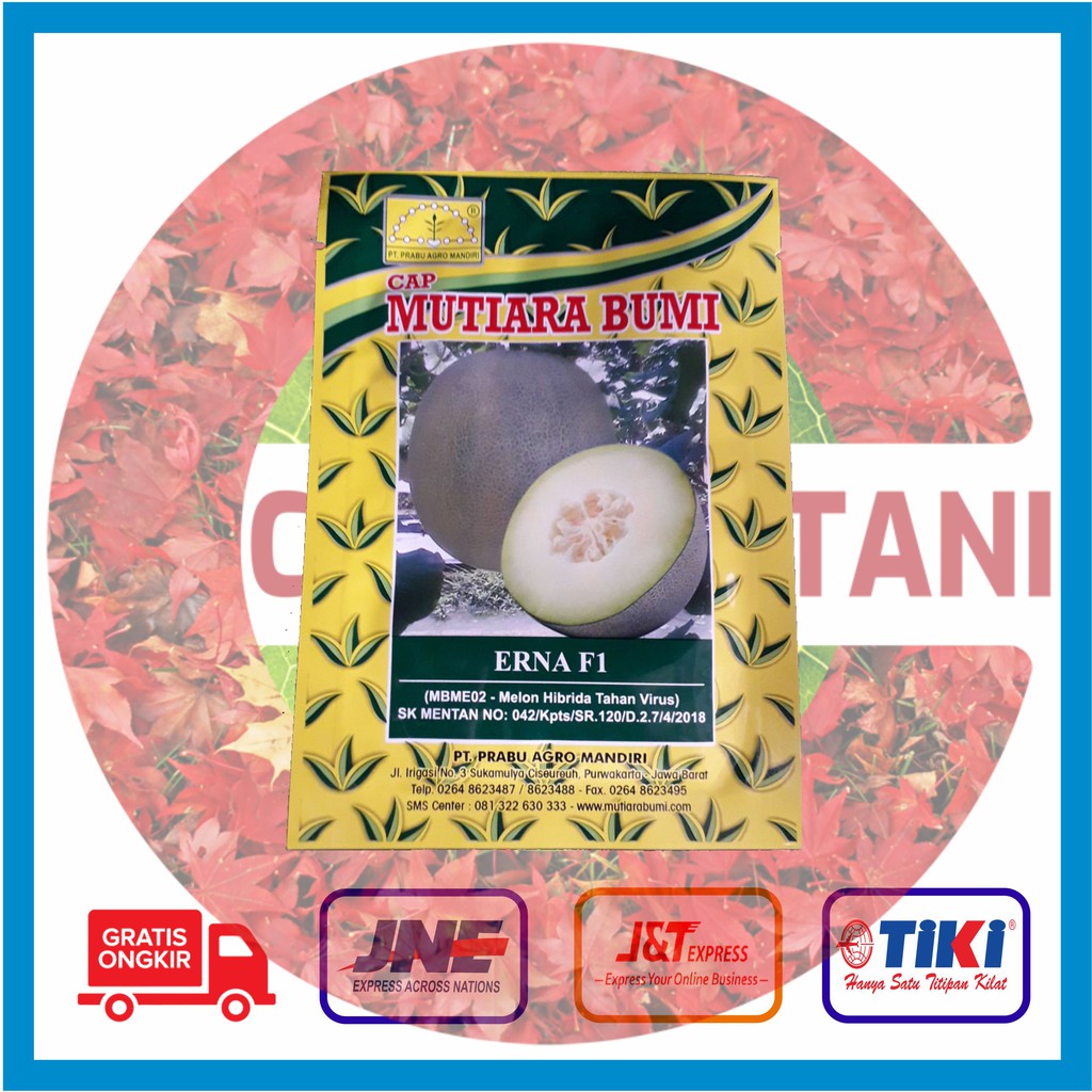 Jual Benih Melon Erna F1 @ 15 GR | Shopee Indonesia
