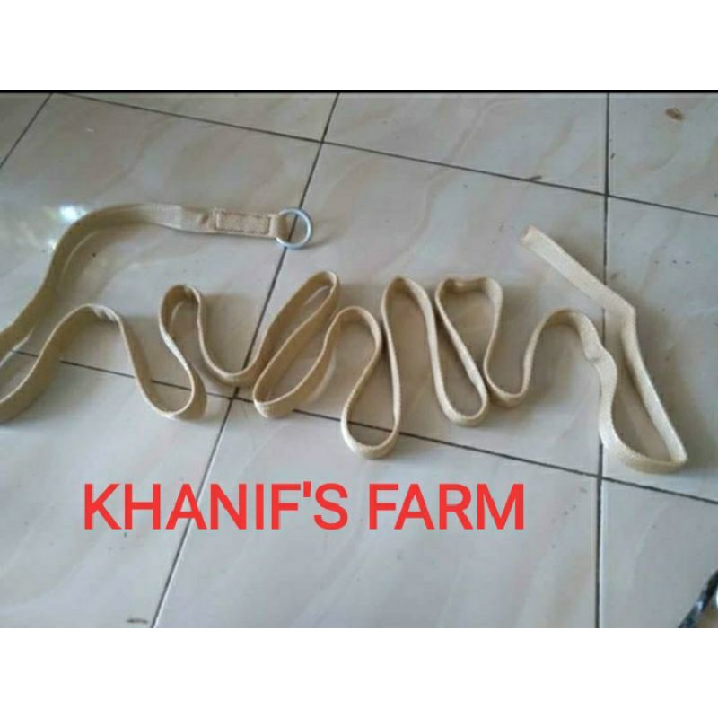 Jual TALI TUNTUN SAPI RING O / TALI HADLE SAPI PASANGAN BRANGUS SAPI ...