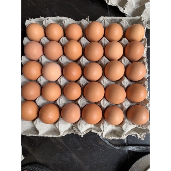 Jual telur curah 1 kg | Shopee Indonesia