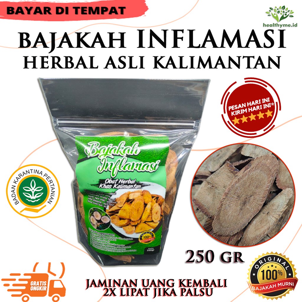 Jual Bajakah Inflamasi / Kayu Akar Bajaka Asli Kalimantan - 250 gr ...