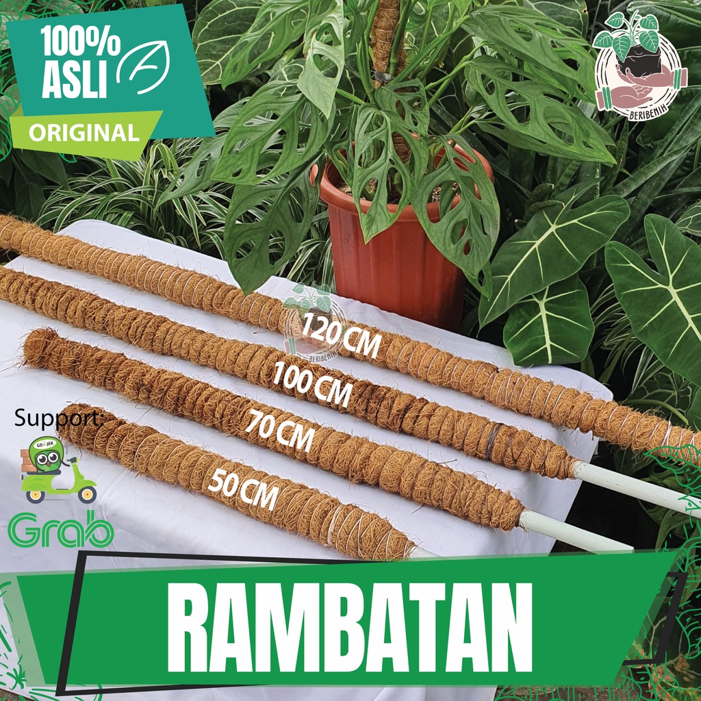Jual Turus Tiang Penyangga Tanaman Hias Rambat Rambatan Pot Coco Fiber ...