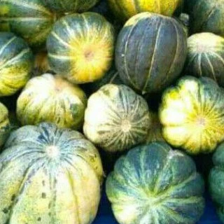 Jual Buah Blewah Terlengkap & Harga Terbaru Juni 2024 | Shopee Indonesia