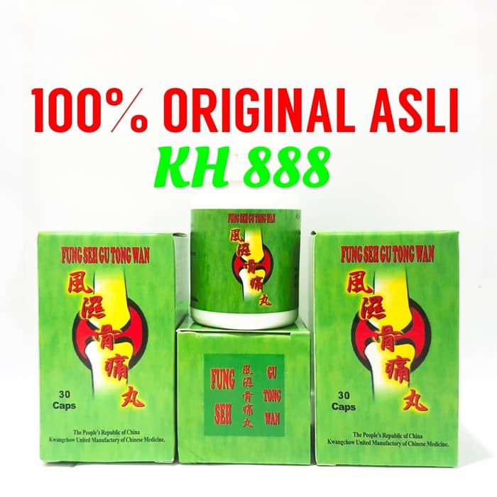 Jual Obat Cina China Fung Seh Gu Tong Wan - Obat asam urat,rematik ...