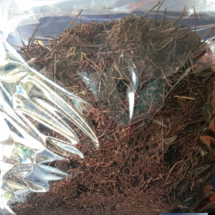 Jual media akar pakis/media tanam akar pakis/untuk semua jenis tanaman ...