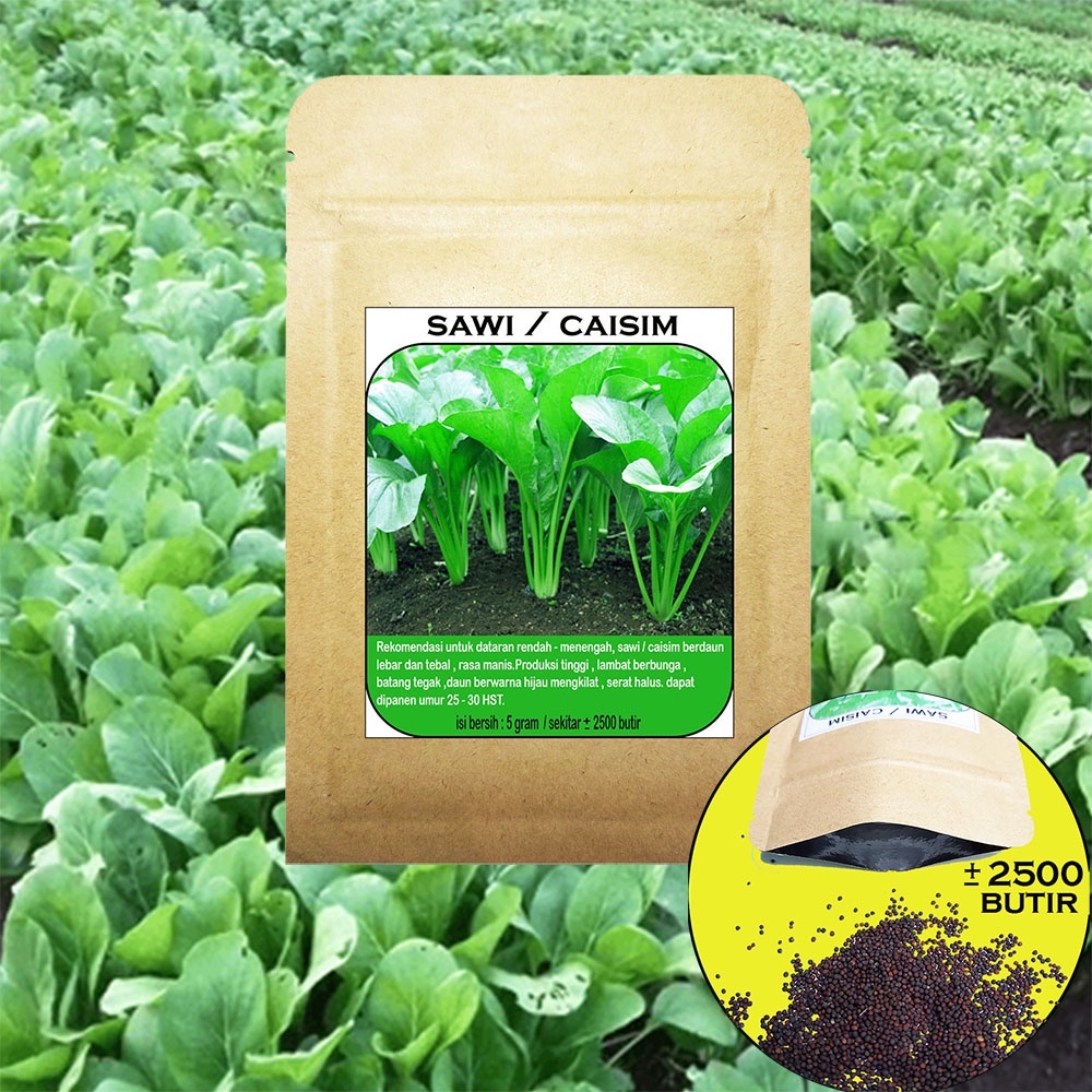 Jual Benih Sawi Manis - Caisim isi 5 gram | Shopee Indonesia