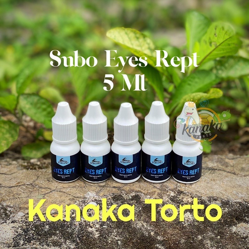 Jual Subo Eyes Rept Obat Tetes Mata Reptil Kura Kadal Sulcata Iguana ...