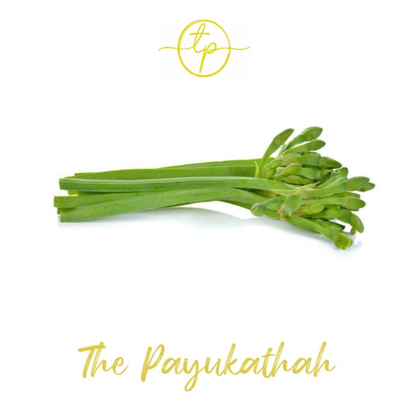 Jual Genjer Segar Per Ikat / Sayur Mayur Murah Fresh Super Segar ...