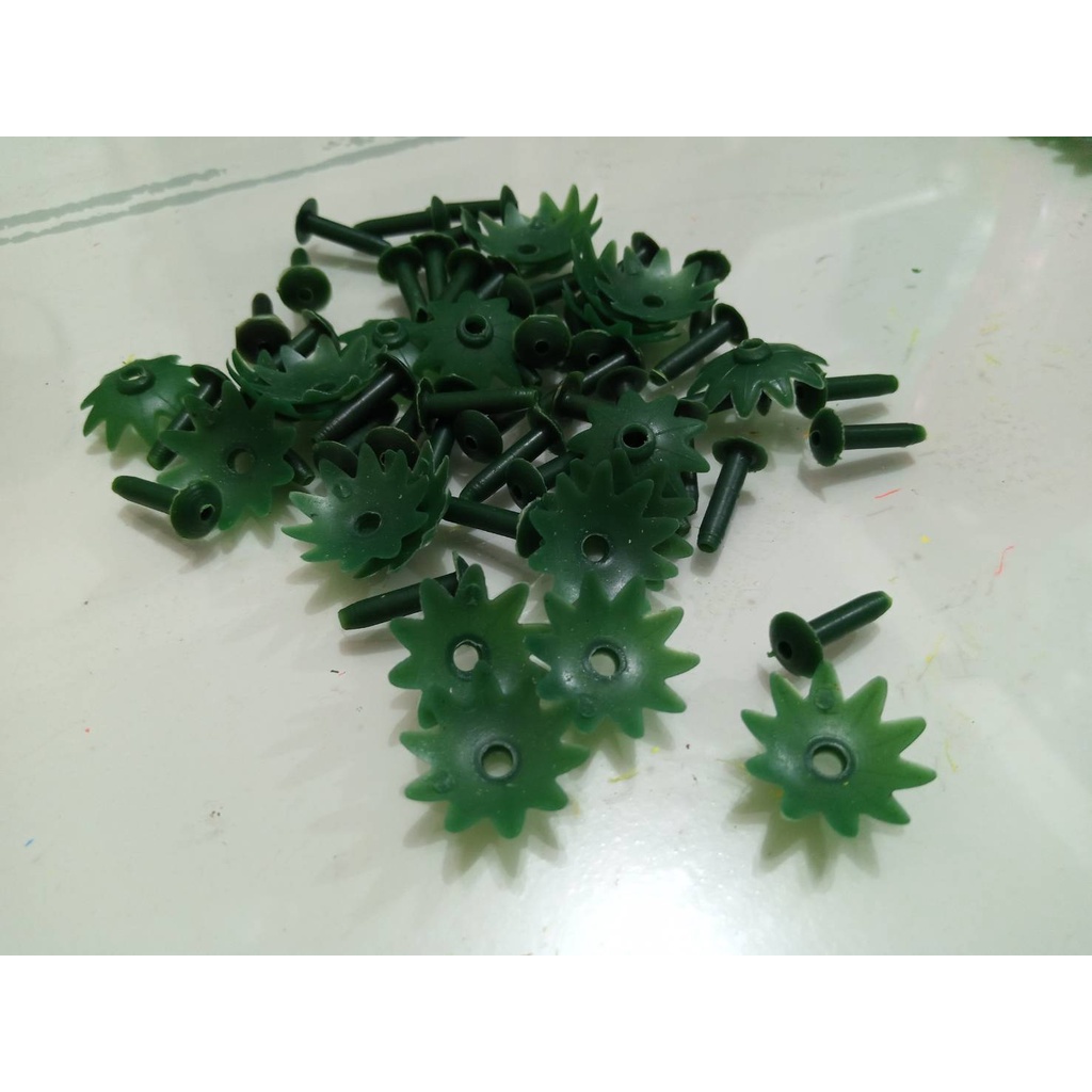 Jual Paku dan Inti Bunga Suyok / Bunga Papan / Rakit Suyok / Inti Suyok ...