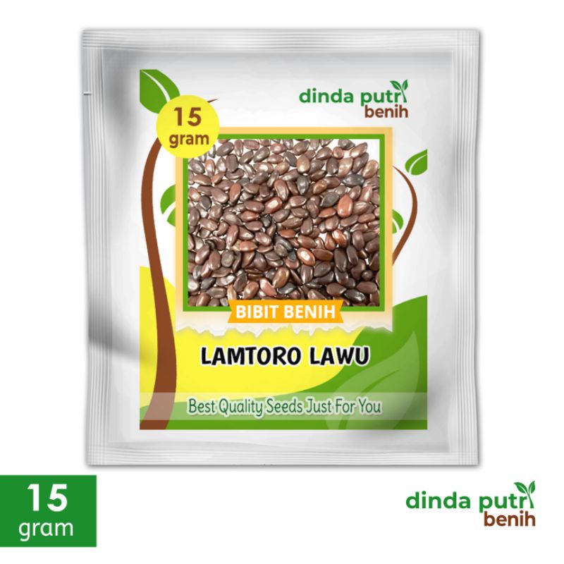 Jual Benih Lamtoro LAWU (petai cina) isi 15gram /benih petai cina ...