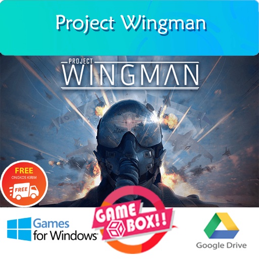 Jual PROJECT WINGMAN - PC LAPTOP GAMES | Shopee Indonesia
