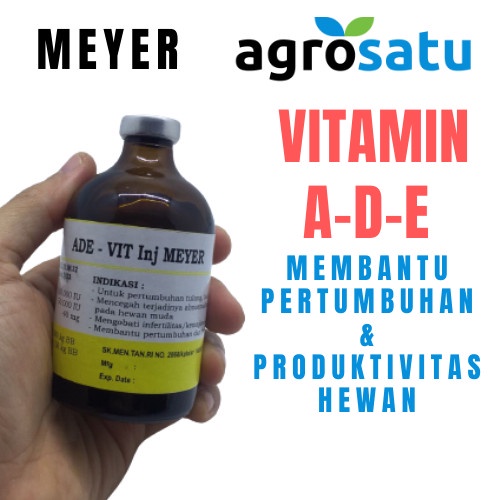Jual Vitamin ADE Vit Inj Meyer Sejenis VITOL Obat Produktivitas Proses ...