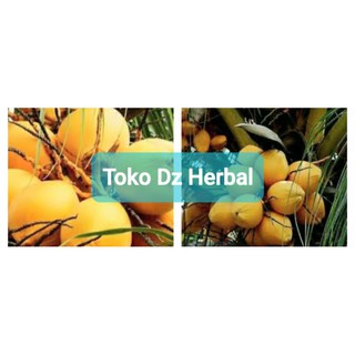 Jual Buah kelapa gading asli segar / kelapa kuning | Shopee Indonesia