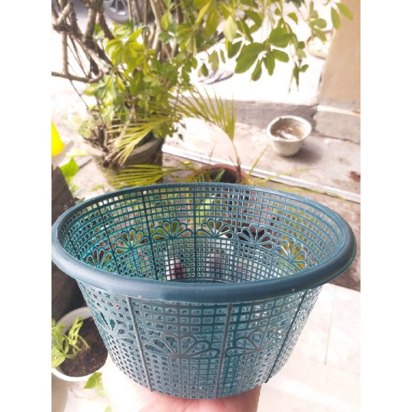 Jual wakul tanggung ( 12 pcs ) | Shopee Indonesia