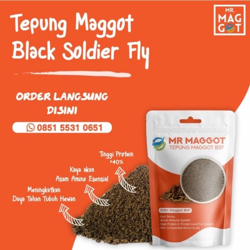 Jual MR MAGGOT - Tepung Maggot Magot BSF Curah - 250gram | Shopee Indonesia