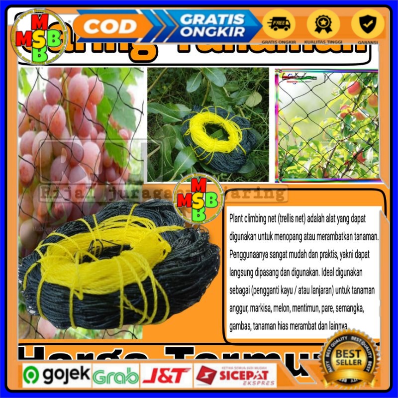 Jual Jaring Tanaman Rambat/Buah/Sayuran Sudah Termasuk Tali Frame ...