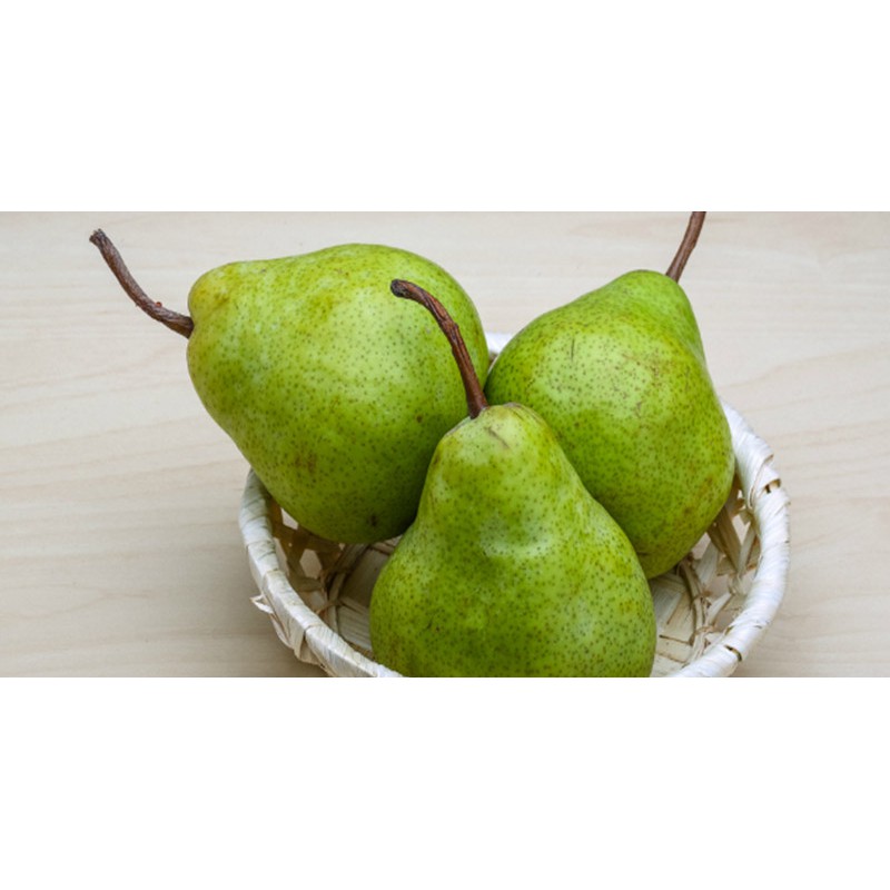 Jual Pear Xiang Li 1kg | Shopee Indonesia
