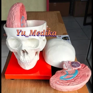 Produk yu_medika | Shopee Indonesia