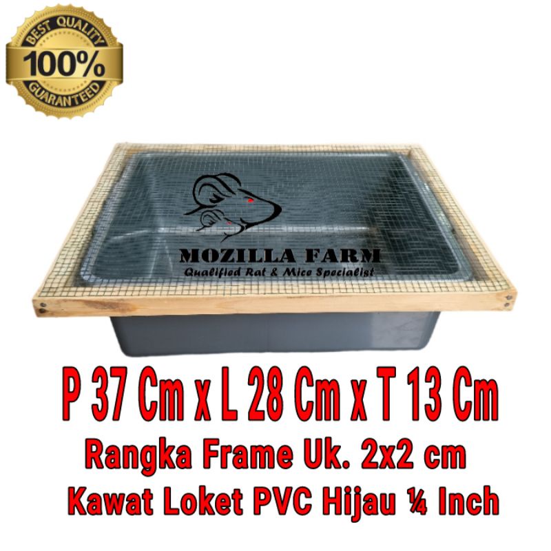 Jual Kandang Tikus Putih Mencit / Rat / ASF Rat Size Medium | Shopee ...