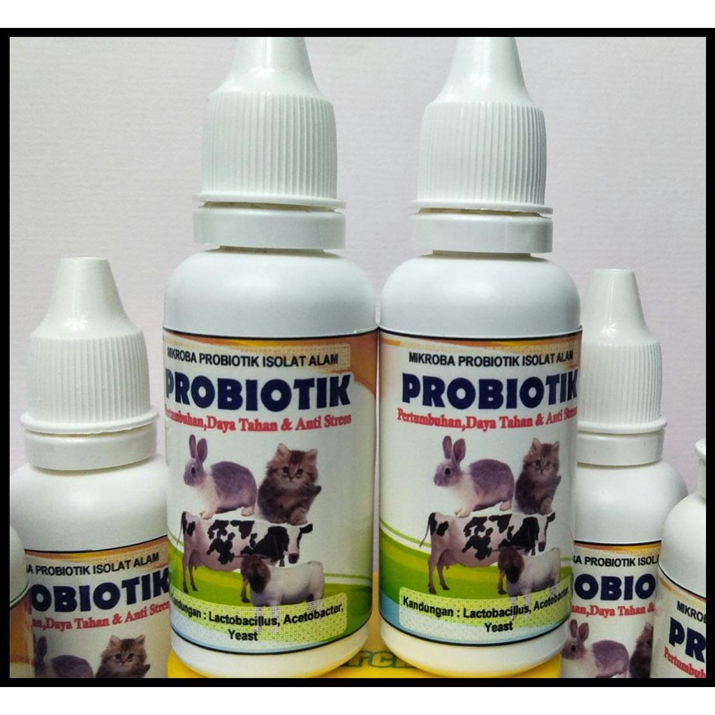 Jual VITAMIN PROBIOTIK KELINCI, Jual Obat Probiotik Kelinci, Vitamin ...