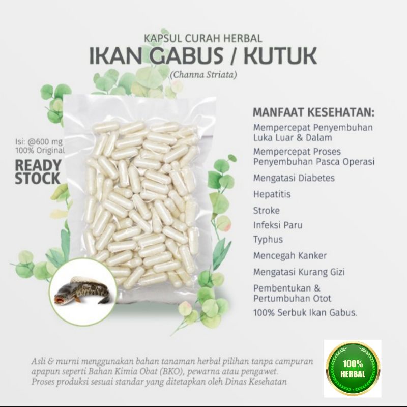Jual Sari Kutuk Kapsul Ikan Gabus Asli Curah 100 Kapsul Original | Shopee Indonesia