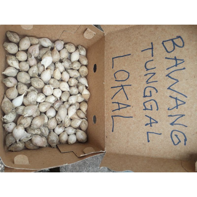 Jual bawang tunggal lanag lokal 1kg | Shopee Indonesia