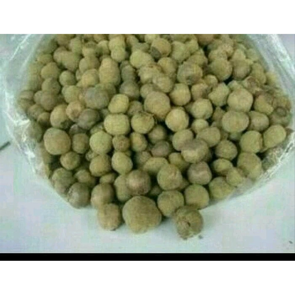 Jual 10 Benih Biji Pohon Jati Emas Super Unggul | Shopee Indonesia