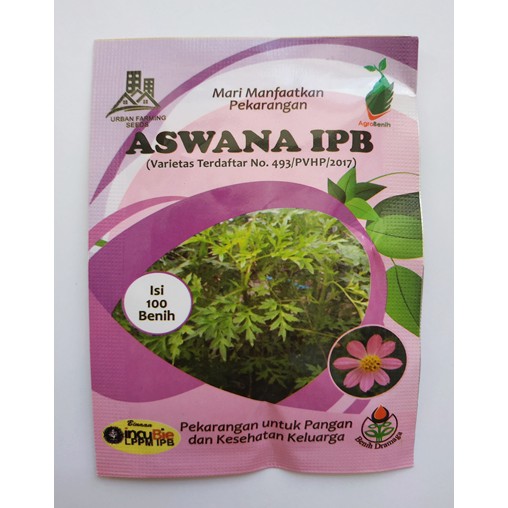 Jual Benih Biji Bunga Kenikir Pink Aswana IPB Pack - Dramaga | Shopee ...
