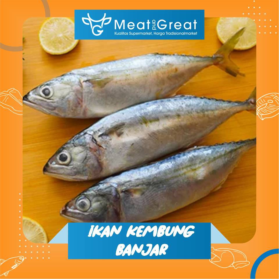 Jual Ikan Kembung Besar / Kembung Banjar Segar 1 kg & 500gr | Shopee ...