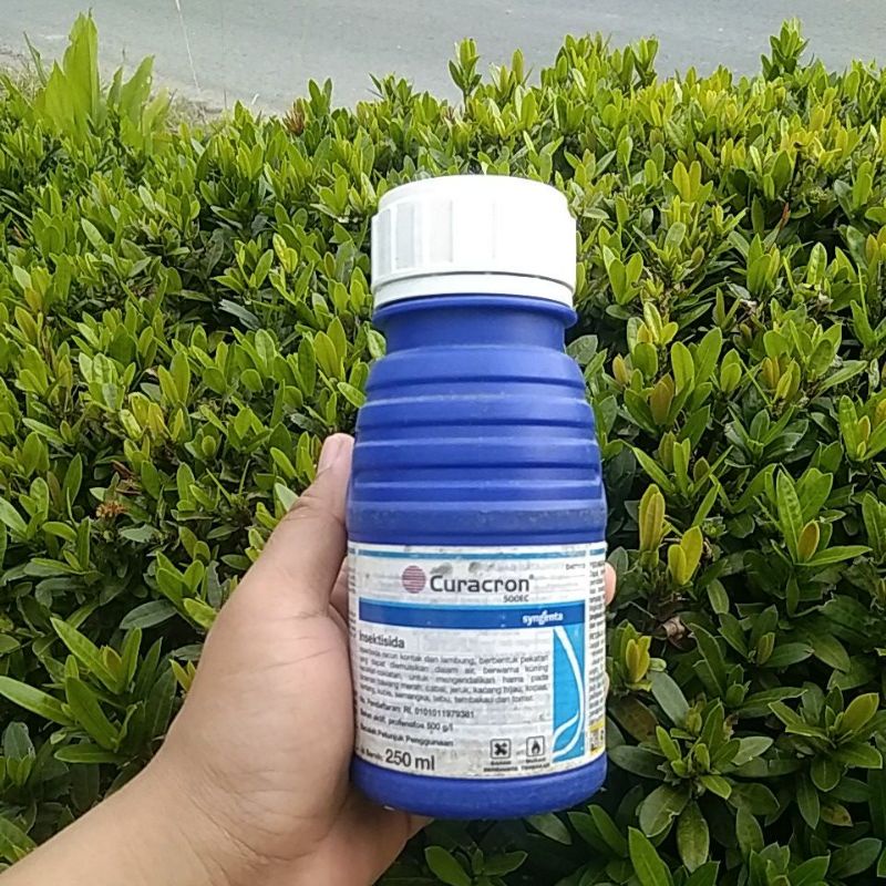 Jual CURACRON 500EC 250ML INSEKTISIDA UNTUK MENGENDALIKAN HAMA DAN KUTU ...