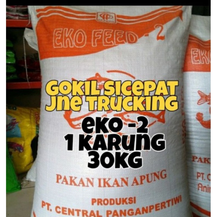 Jual pelet murah eko 2 1 karung 30kg pelet lele pakan lele pelet nila ...
