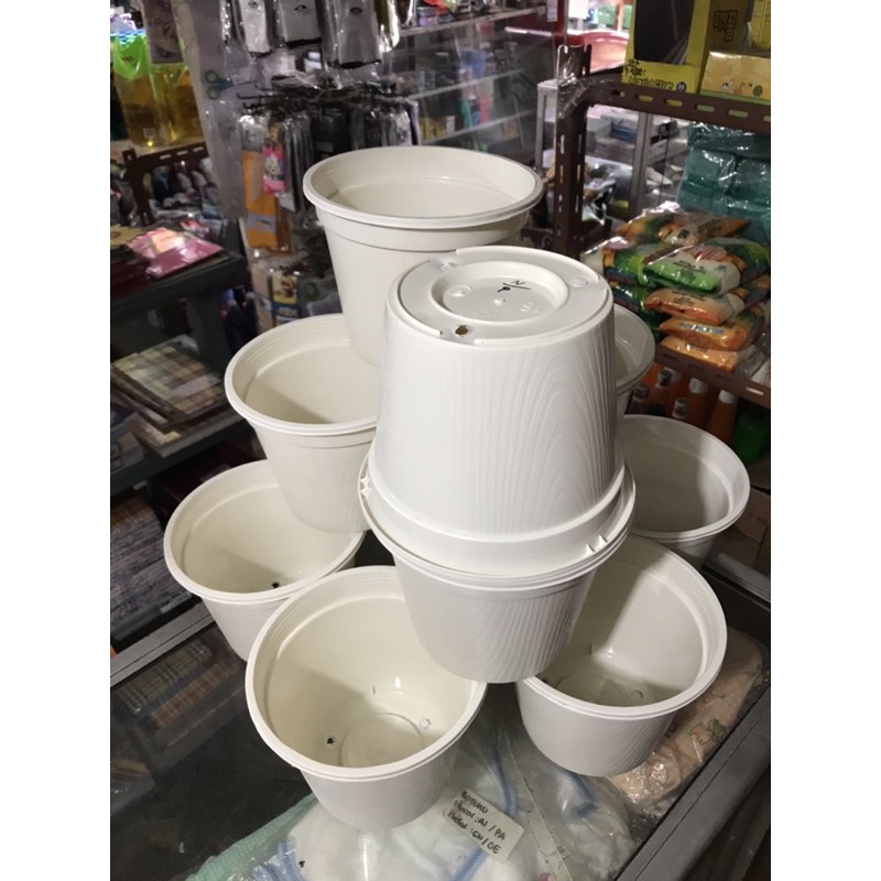 Jual POT BUNGA CANTIK PUTIH GM | Shopee Indonesia