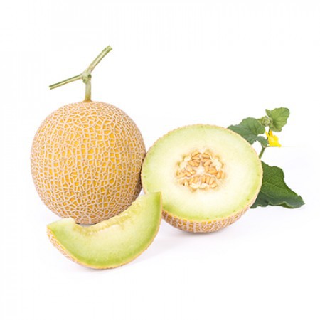 Jual Benih melon RZ Inthanon - 100 seed kemasan repacking | Shopee ...