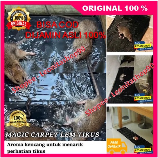 Jual Lem Tikus Super Ampuh Magic Karpet Lem Tikus 100% ORIGINAL ...