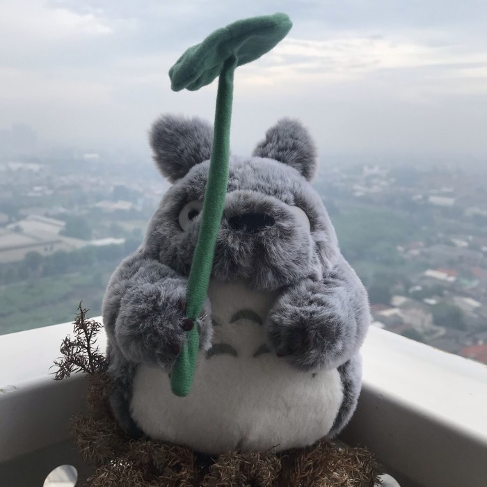 Jual Boneka My Neighbor TOTORO with leaf by SUN ARROW | Shopee Indonesia