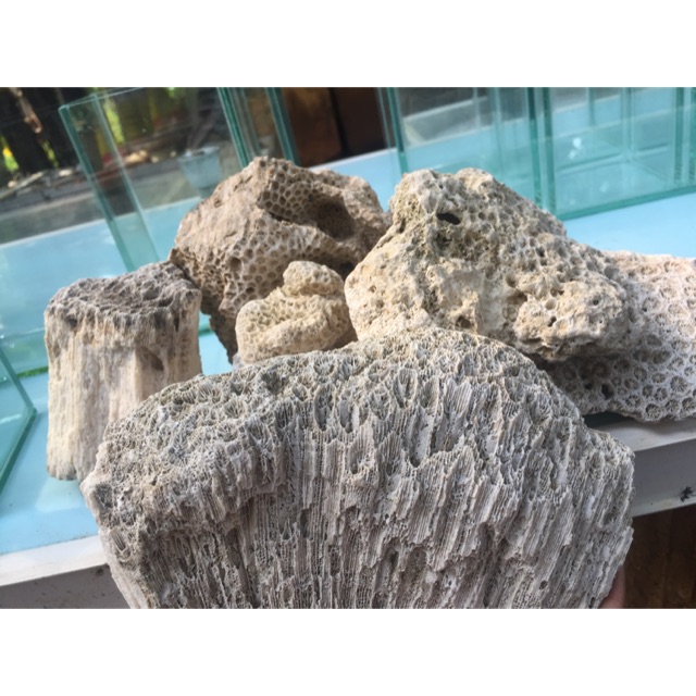 Jual Batu karang batu aquascafe batu lavarok batu posil pasir Malang ...