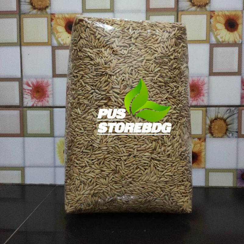 Jual Padi beras merah kemasan 150 gram | Shopee Indonesia