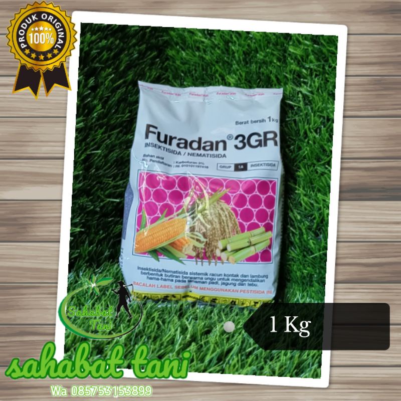 Jual INSEKTISIDA FURADAN 3GR 1kg | Shopee Indonesia