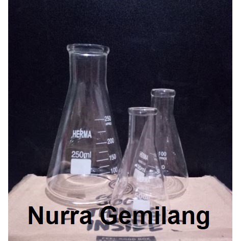 Jual Erlenmyer Flask 250 ml/Tabung Erlenmeyer 250 ml iwaki Herma Duran ...