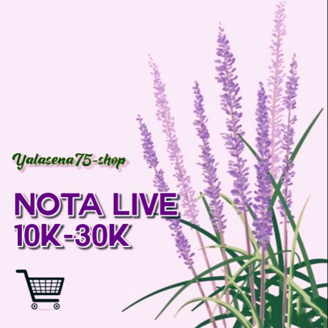 Jual NOTA LIVE BAJU | Shopee Indonesia