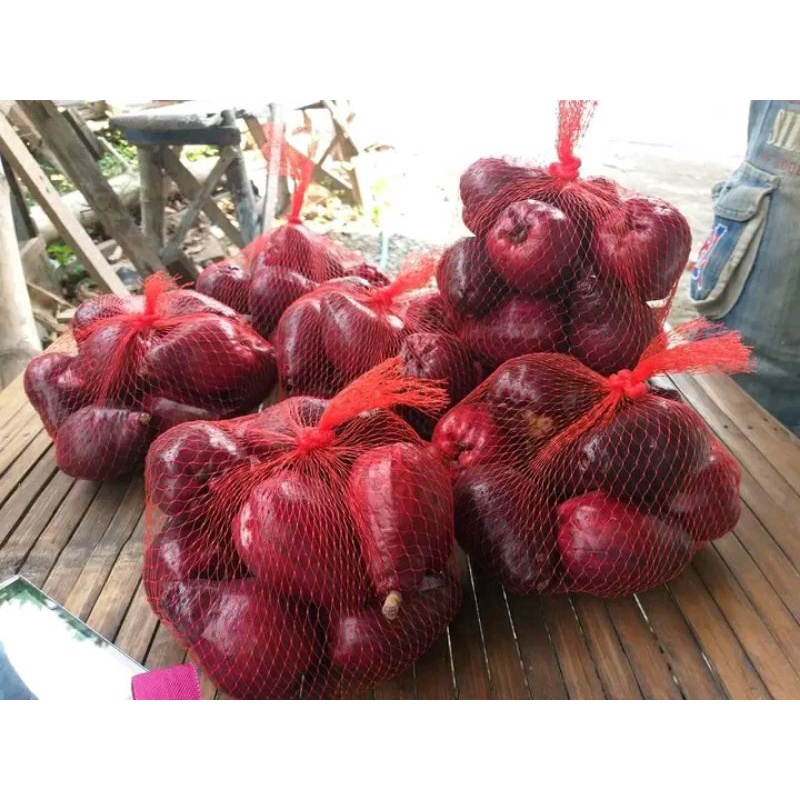 Jual BUAH JAMBU DARSONO 1KG/JAMBU BOL/JAMBU JAMAIKA 1KG Fresh | Shopee ...
