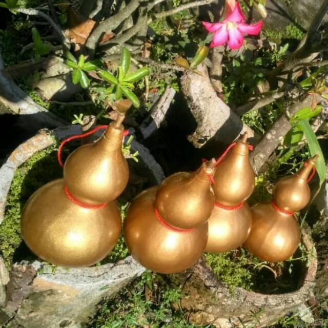 Jual 2 Pcs Botol labu dewa mabuk | Shopee Indonesia