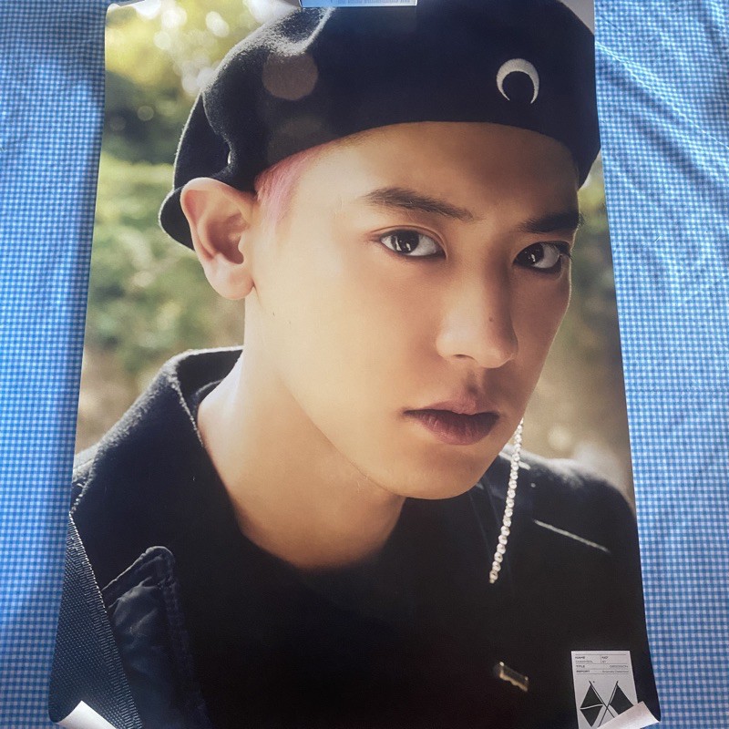 Jual EXO OFFICIAL POSTER ( MEMBER ) | Shopee Indonesia