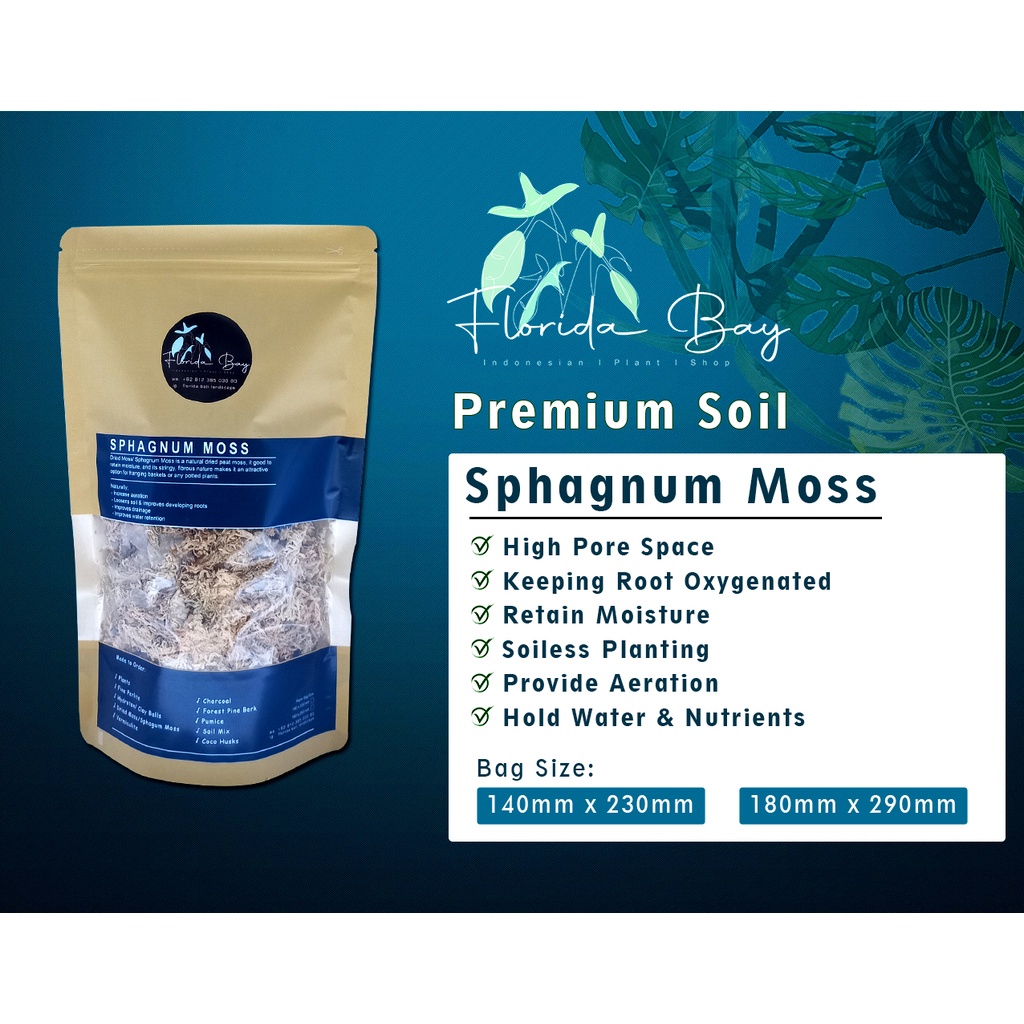 Jual Sphagnum Moss - Moss Kering - Lumut Kering | Shopee Indonesia