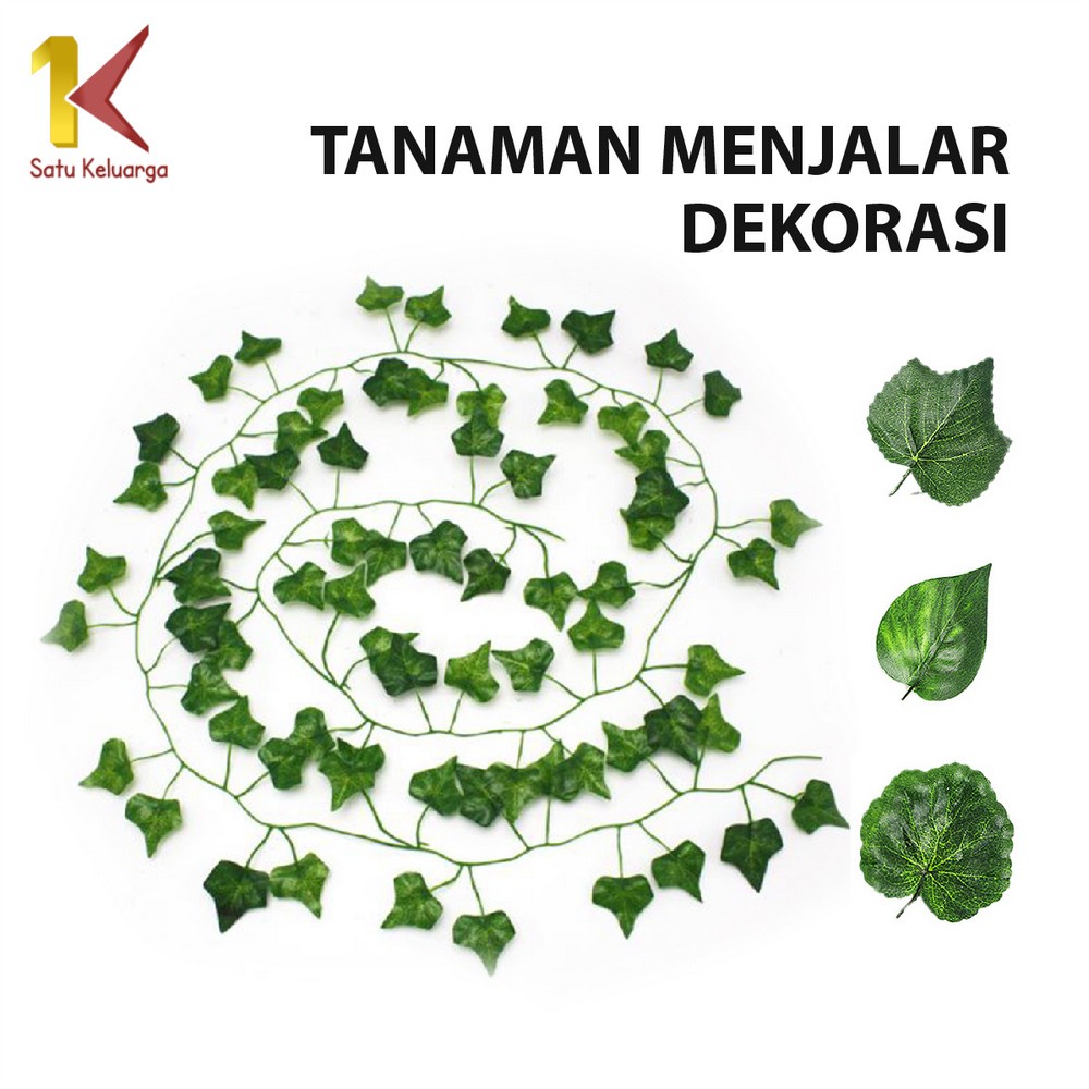Jual Satu Keluarga Ornamen Daun Rambat C522 Tanaman Hias Gantung Rumput ...