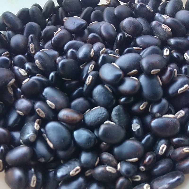 Jual Kacang /Koro Benguk Hitam pilihan 1kg | Shopee Indonesia