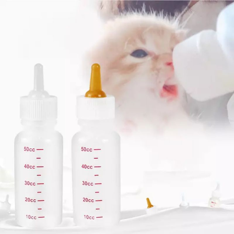 Jual Botol Dot Susu Kucing 60 ml | Cat Milk Bottle 60 ml | Shopee Indonesia