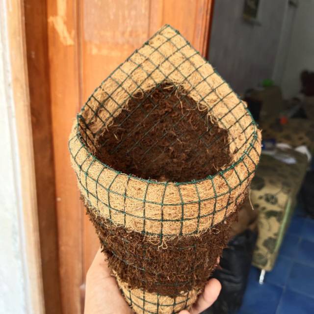 Jual Pot anggrek tempel dinding sabut kelapa akar kadaka | Shopee Indonesia