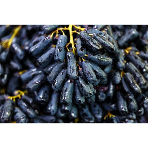 Jual Buah Anggur Moondrop Fresh 1 kg | Shopee Indonesia