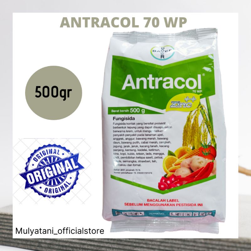 Jual Fungisida Pungisida Antracol Antrakol Fungisida 500 70Wp Original ...